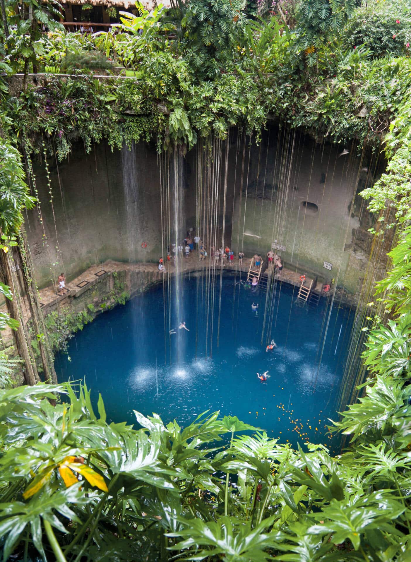 El Cenote Zací, el corazón azul de Valladolid - Tours in Puerto Morelos